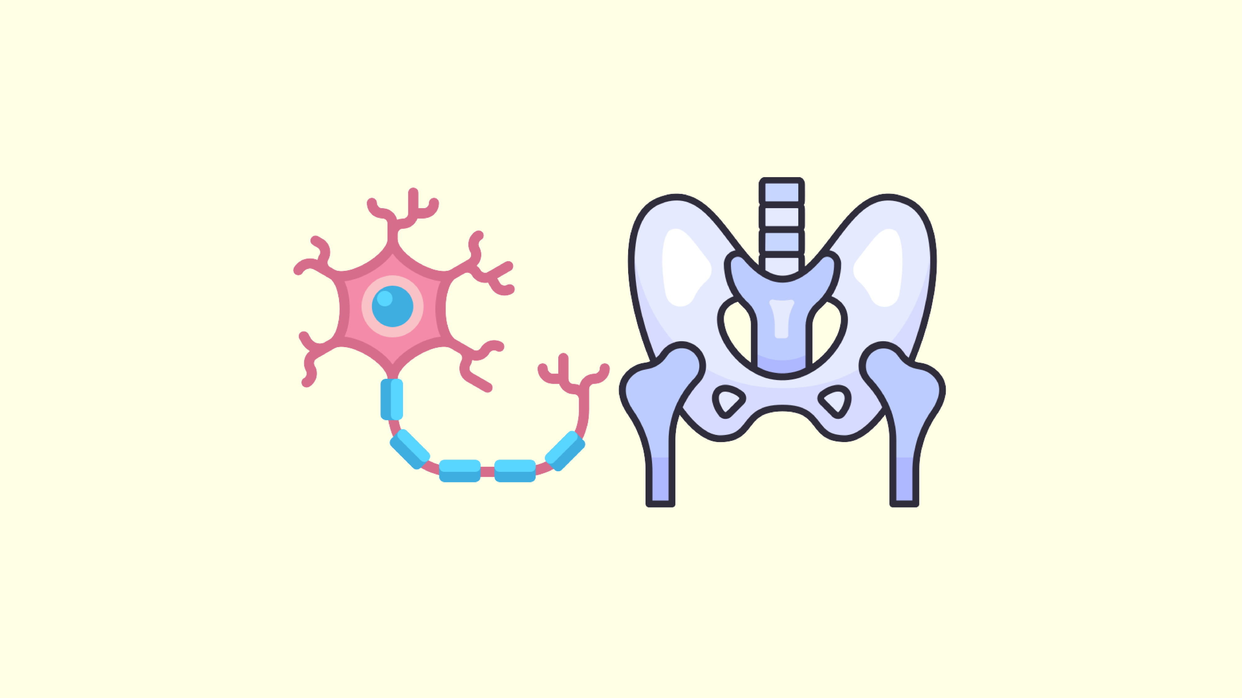Human Physiology Overview | Scientific Programming School
